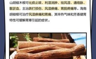 山胡椒根的功效与作用_山胡椒根怎么吃效果好