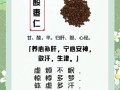酸枣仁的功效与作用_酸枣仁怎么吃效果最好
