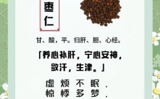 酸枣仁的功效与作用_酸枣仁怎么吃效果最好 酸枣仁的功效与作用_酸枣仁怎么吃效果最好