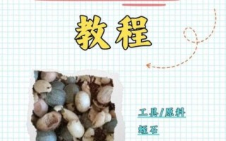 乌龟蛋怎么孵化_乌龟蛋孵化需要多少天