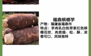 芋头有几种种类_常见芋头品种图片对比