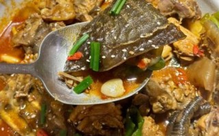 甲鱼怎么做好吃又简单_家常甲鱼汤做法