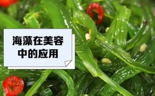 海藻的功效与作用及禁忌_什么人不能吃海藻