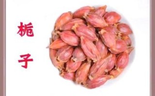 栀子功效与作用_栀子用量多少克