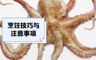 炒八爪鱼怎么做好吃_八爪鱼焯水几分钟才嫩