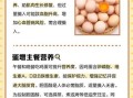 鸡蛋什么时候吃最好_一天吃几个鸡蛋合适