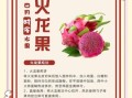 火龙果有什么好处_吃火龙果能减肥吗