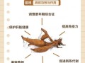 野葛根粉的功效与作用_野葛根粉的正确吃法