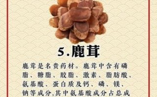 鹿茸的功效与作用有哪些_鹿茸适合什么人吃