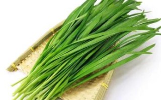 韭菜图片大全大图_实物图片长什么样