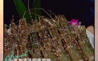 青龙虾怎么处理干净_青龙虾清洗视频教程