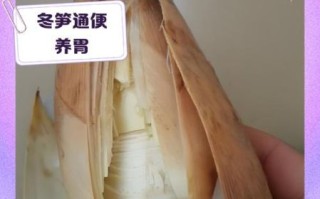 冬笋的营养价值_冬笋的功效与作用