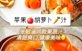 鲜榨胡萝卜汁的做法_胡萝卜汁怎么榨好喝