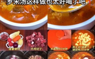 罗宋汤怎么烧最好喝_罗宋汤正宗做法