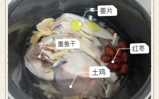 墨鱼炖鸡怎么炖才好吃_墨鱼炖鸡的正确做法