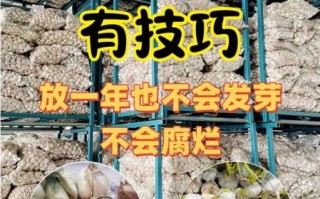 大蒜怎么保存不发芽_大蒜放冰箱能防止发芽吗