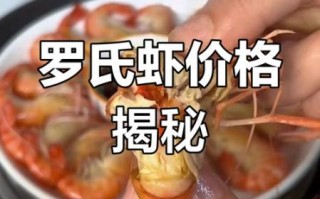 罗氏虾多少钱一斤_罗氏虾价格为什么波动这么大