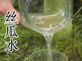 丝瓜水有什么功效_丝瓜水怎么用效果最好
