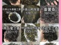 单枞茶属于什么茶_单枞茶是绿茶还是乌龙茶