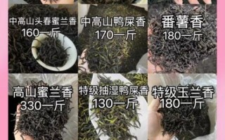 单枞茶属于什么茶_单枞茶是绿茶还是乌龙茶