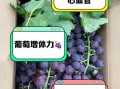 吃葡萄的好处与坏处有哪些_葡萄吃多了会胖吗
