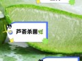 芦荟怎么吃才好吃_芦荟怎么吃才好吃又健康