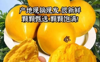 蛋黄果的核能吃吗_蛋黄果核有毒吗