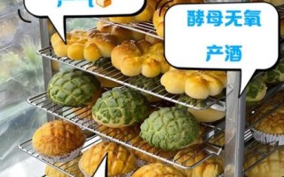 酵母菌发酵是有氧还是无氧_酵母菌有氧无氧区别