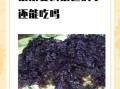 长期吃紫菜有害处吗_紫菜吃多了有什么副作用
