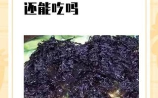 长期吃紫菜有害处吗_紫菜吃多了有什么副作用