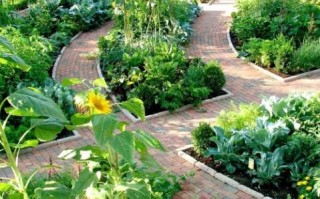 菜圃是什么_菜圃和菜园的区别