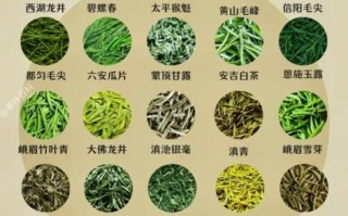 绿茶有几种_绿茶分类大全