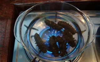 怎样发海参最好_海参泡发全过程视频