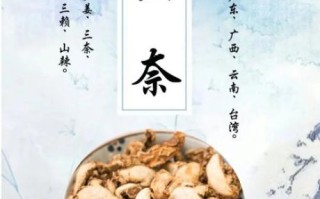 山奈是什么_山奈的功效与作用