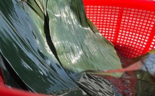 鲜肉粽子煮多久能熟_鲜肉粽子冷水下锅还是热水