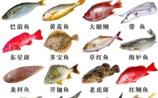 深海鱼包括哪几种鱼_深海鱼种类大全