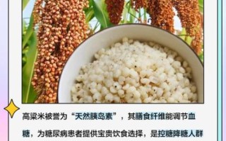 高粱米是粗粮吗_高粱米营养价值高吗