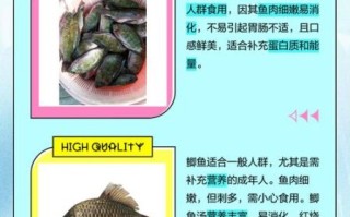 罗非鱼和鲫鱼哪个好吃_口感营养大比拼