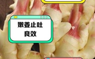 鲜姜的功效与作用_鲜姜怎么吃最好