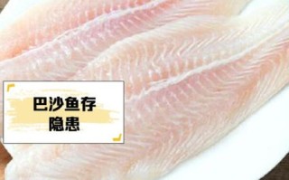 巴沙鱼有刺吗_宝宝能吃吗