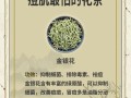 脸上长痘痘喝什么茶可以排毒_脸上长痘痘喝什么茶排毒效果最好