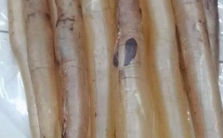 鱼肚怎么泡发_鱼肚的家常做法图解