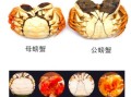 螃蟹有几条腿_第二人生