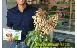 花生网怎么注册_花生网靠谱吗