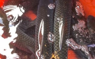 鲩鱼怎么读_鲩鱼是什么鱼