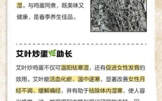 艾叶炒鸡蛋怎么做_艾叶炒鸡蛋的功效与禁忌