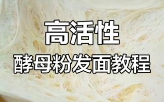蒸包子怎么发面才松软_发面用什么酵母好