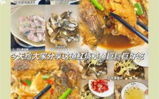 草鱼怎么做好吃_家常红烧草鱼做法