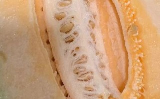 哈密瓜吃多了会怎样_哈密瓜吃多了会上火吗