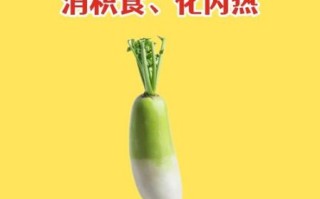 萝卜的营养价值及功效与作用_萝卜怎么吃最健康